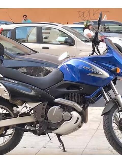 Palermo - Moto e Scooter - xTutti.com - Suzuki XF Freewind 650 - 2002 - Palermo Casa, Auto, Moto ...